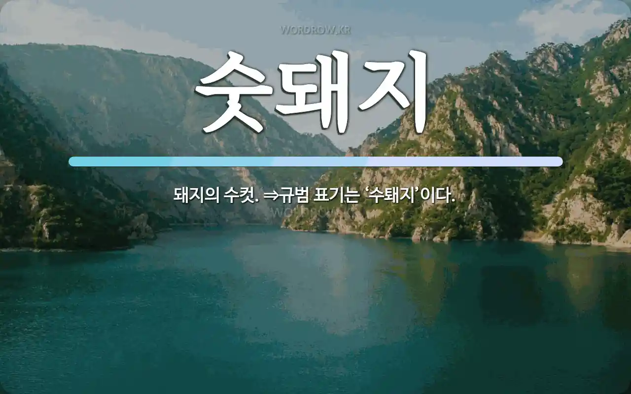 숫돼지 뜻 돼지의 수컷 ⇒규범 표기는 ‘수퇘지이다