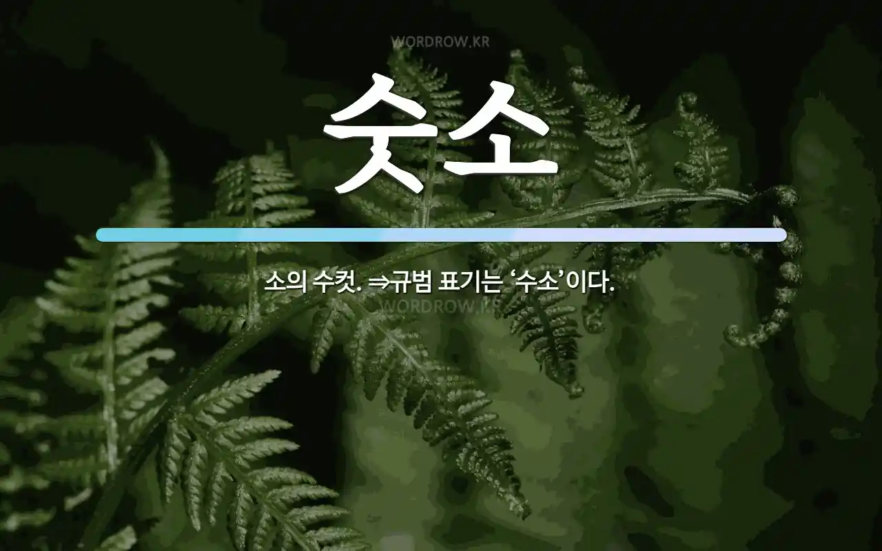 숫소 뜻 소의 수컷 ⇒규범 표기는 ‘수소이다