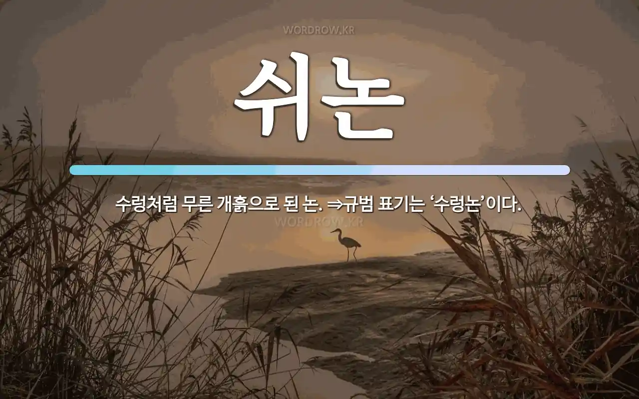 쉬논 뜻 수렁처럼 무른 개흙으로 된 논 ⇒규범 표기는 ‘수렁논이다