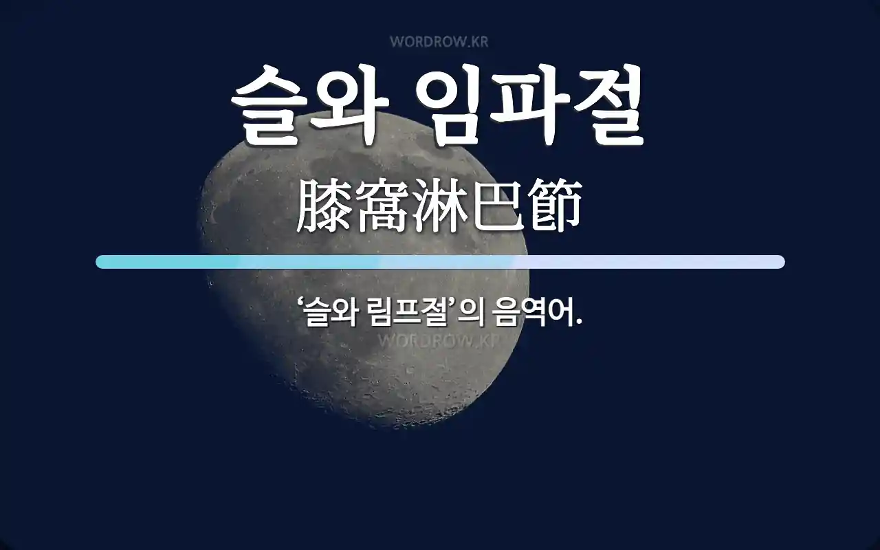 슬와 임파절 뜻 ‘슬와 림프절의 음역어