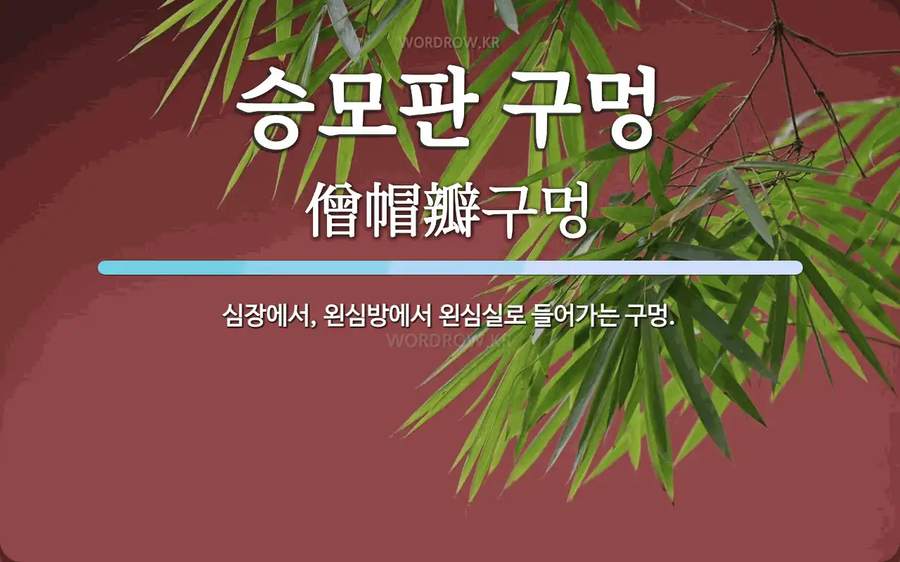 승모판 구멍 뜻 심장에서 왼심방에서 왼심실로 들어가는 구멍