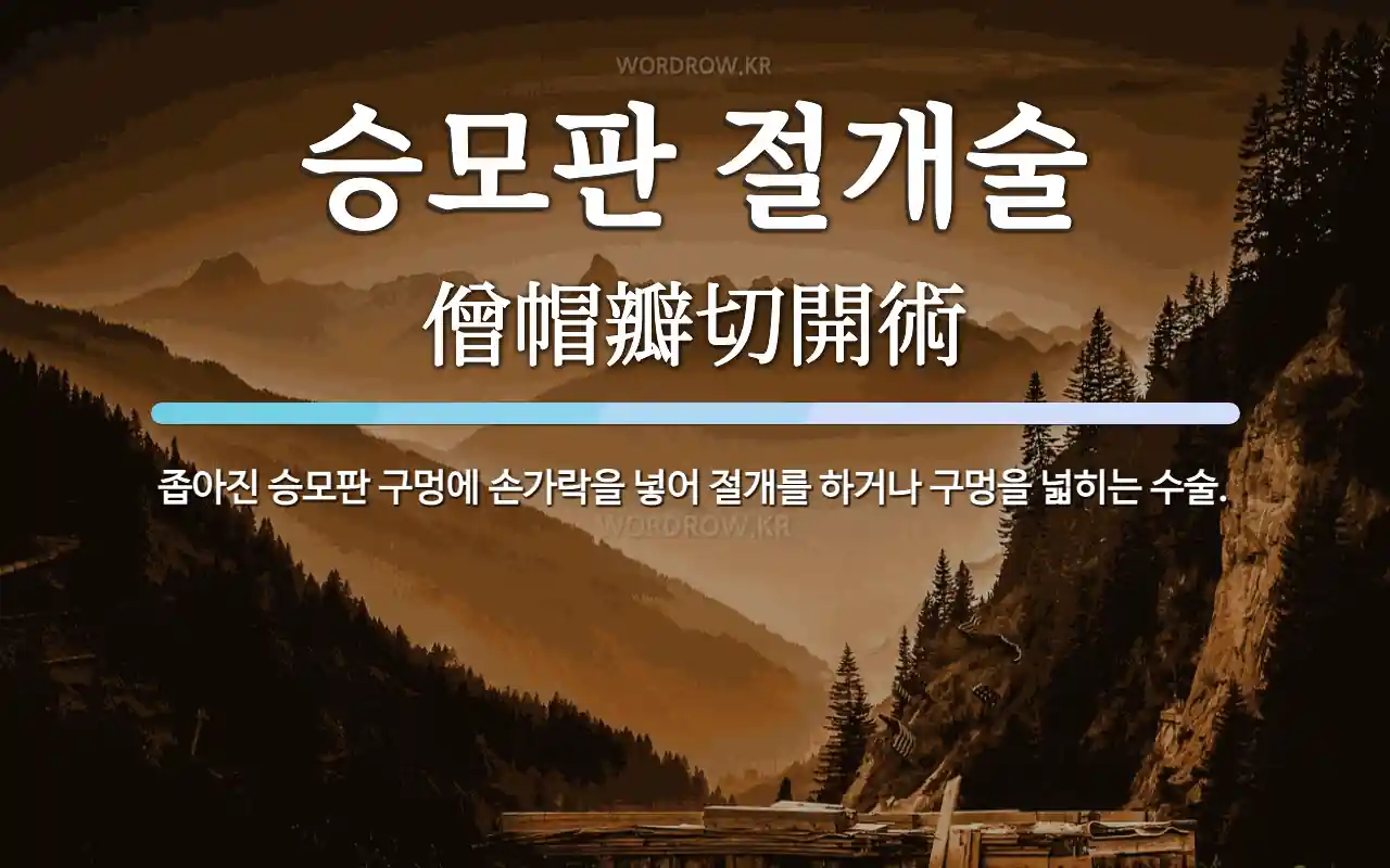 승모판 절개술 뜻 좁아진 승모판 구멍에 손가락을 넣어 절개를 하거나 구멍을 넓히는 수술