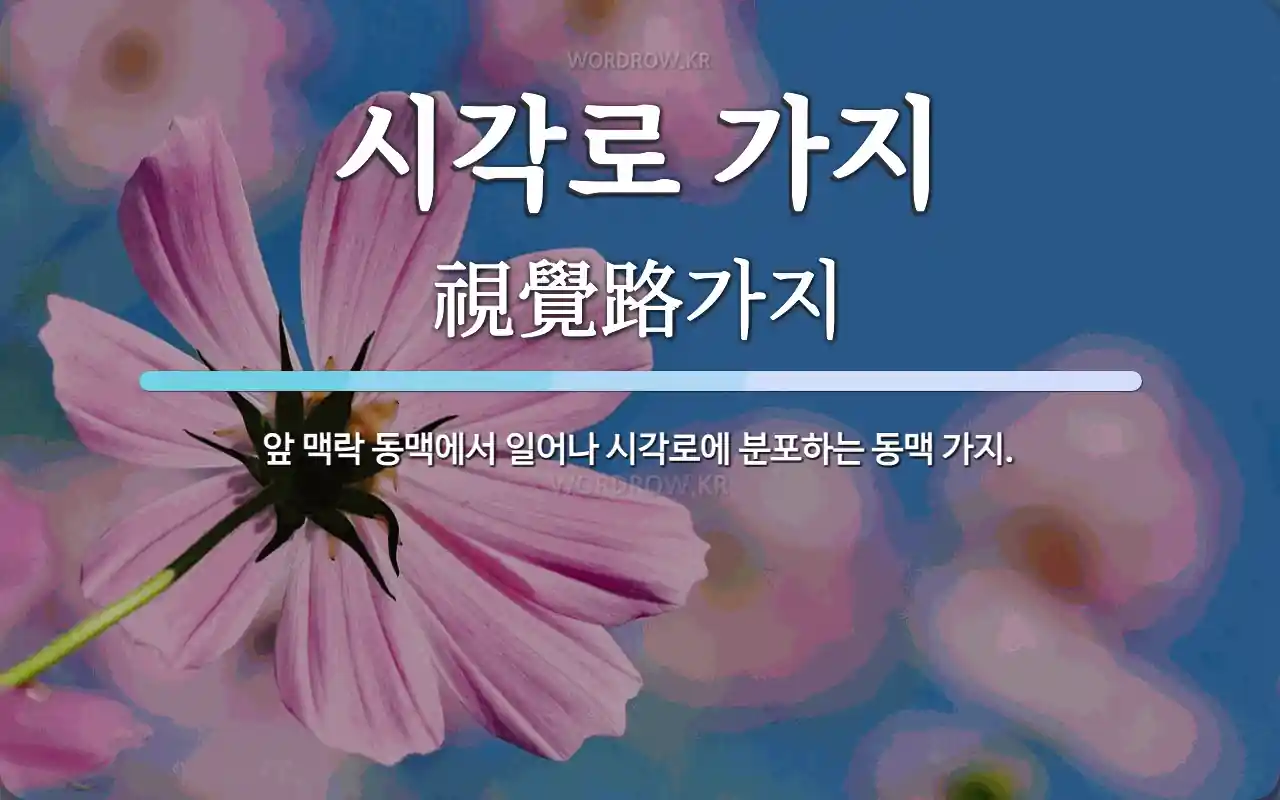 시각로 가지 뜻 앞 맥락 동맥에서 일어나 시각로에 분포하는 동맥 가지