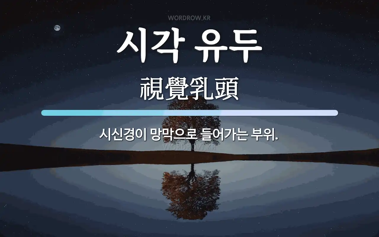 시각 유두 뜻 시신경이 망막으로 들어가는 부위
