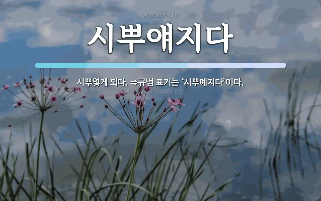 시뿌얘지다 뜻 시뿌옇게 되다 ⇒규범 표기는 ‘시뿌예지다이다