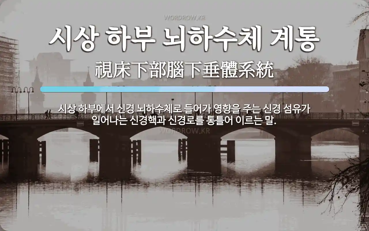 시상 하부 뇌하수체 계통 뜻 시상 하부에서 신경 뇌하수체로 들어가 영향을 주는 신경 섬유가 일어나는 신경핵과 신경로를