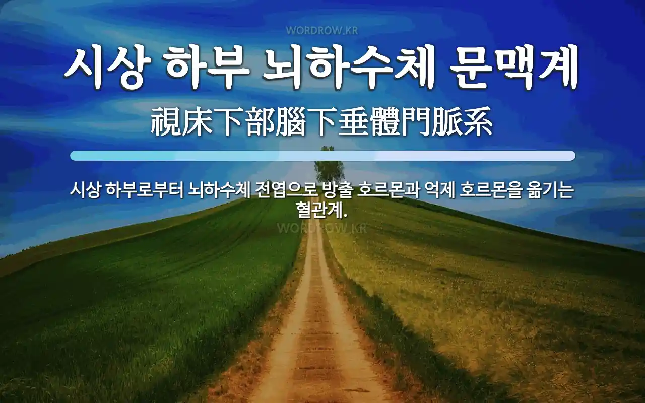 시상 하부 뇌하수체 문맥계 뜻 시상 하부로부터 뇌하수체 전엽으로 방출 호르몬과 억제 호르몬을 옮기는 혈관계