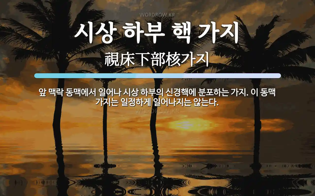 시상 하부 핵 가지 뜻 앞 맥락 동맥에서 일어나 시상 하부의 신경핵에 분포하는 가지 이 동맥 가지는 일정하게 일