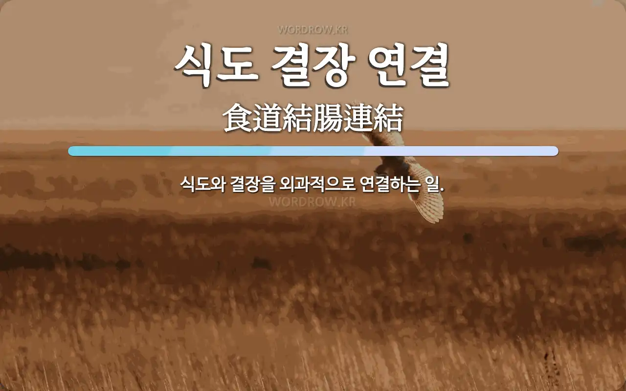 식도 결장 연결 뜻 식도와 결장을 외과적으로 연결하는 일