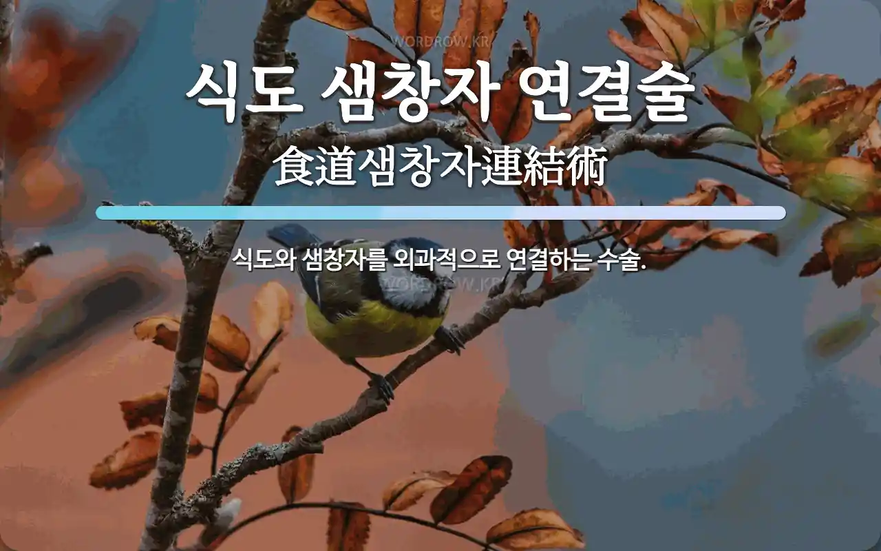 식도 샘창자 연결술 뜻 식도와 샘창자를 외과적으로 연결하는 수술