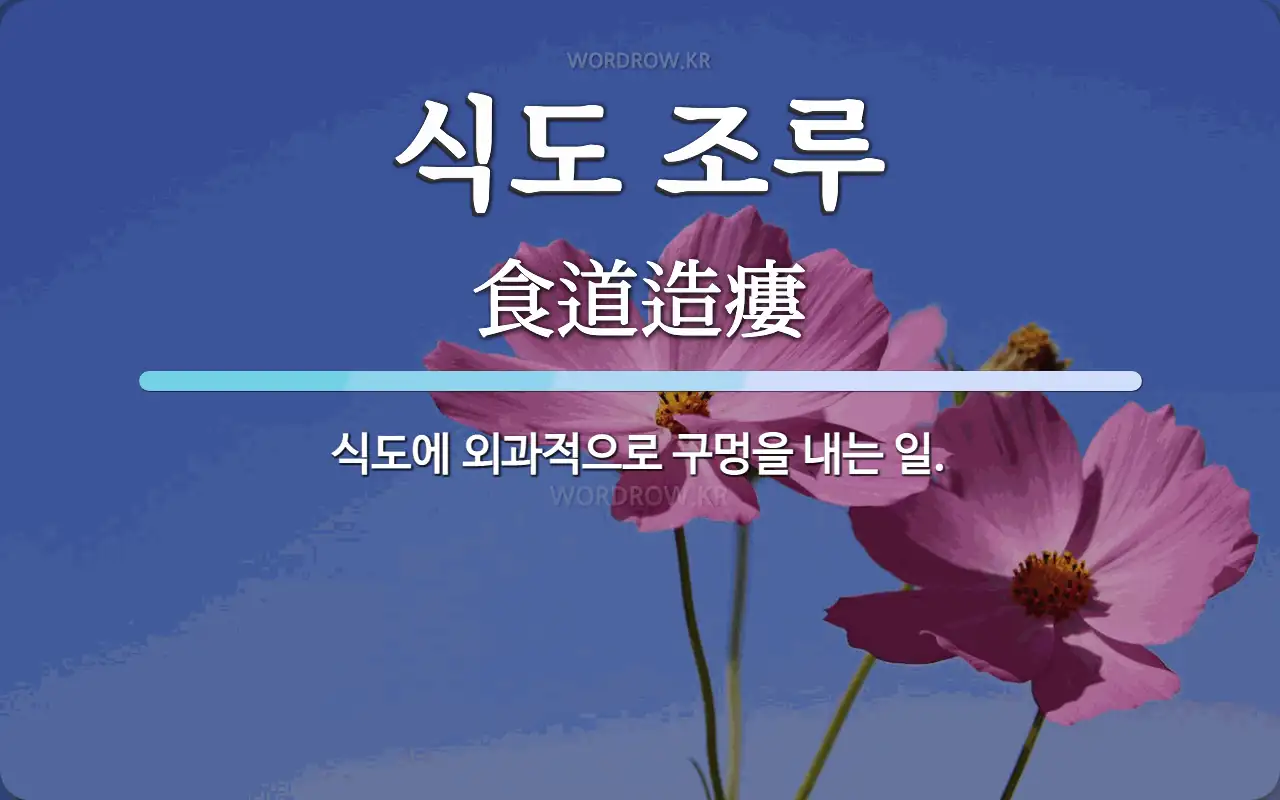 식도 조루 뜻 식도에 외과적으로 구멍을 내는 일