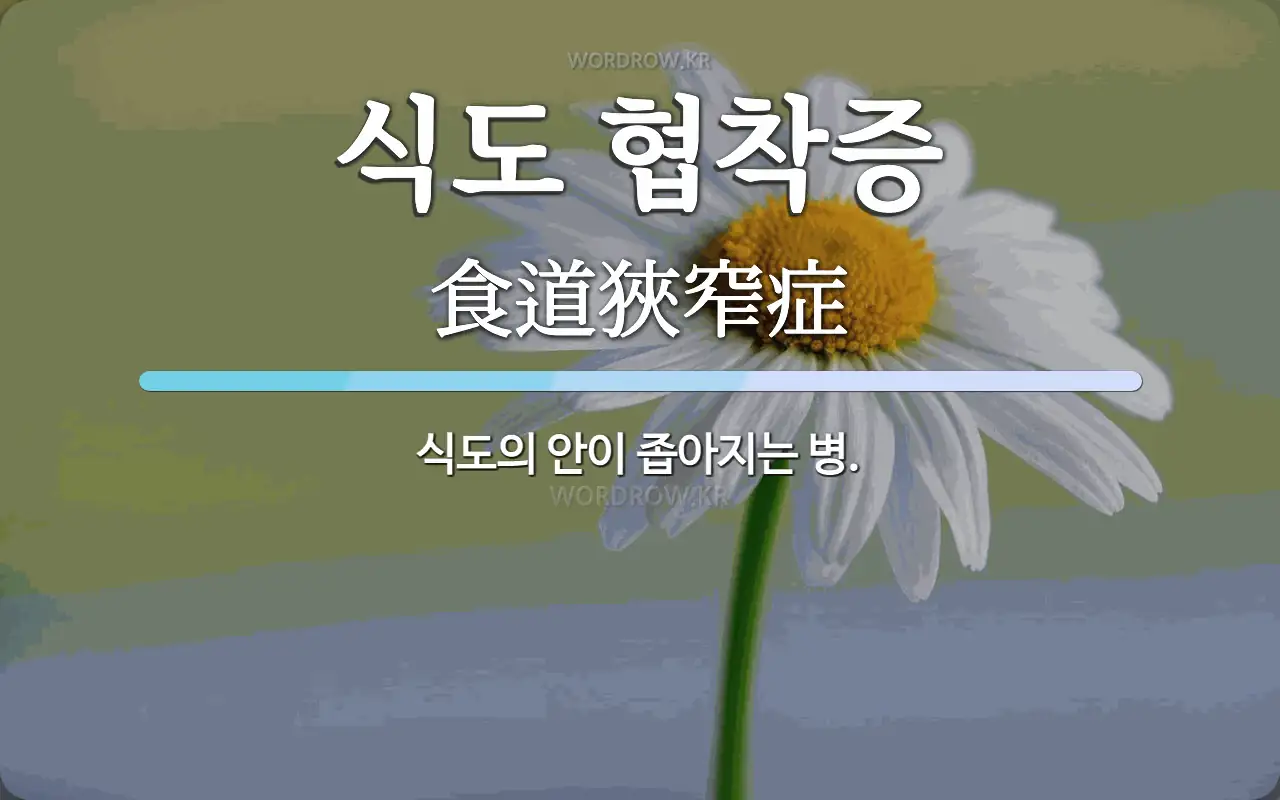 식도 협착증 뜻 식도의 안이 좁아지는 병