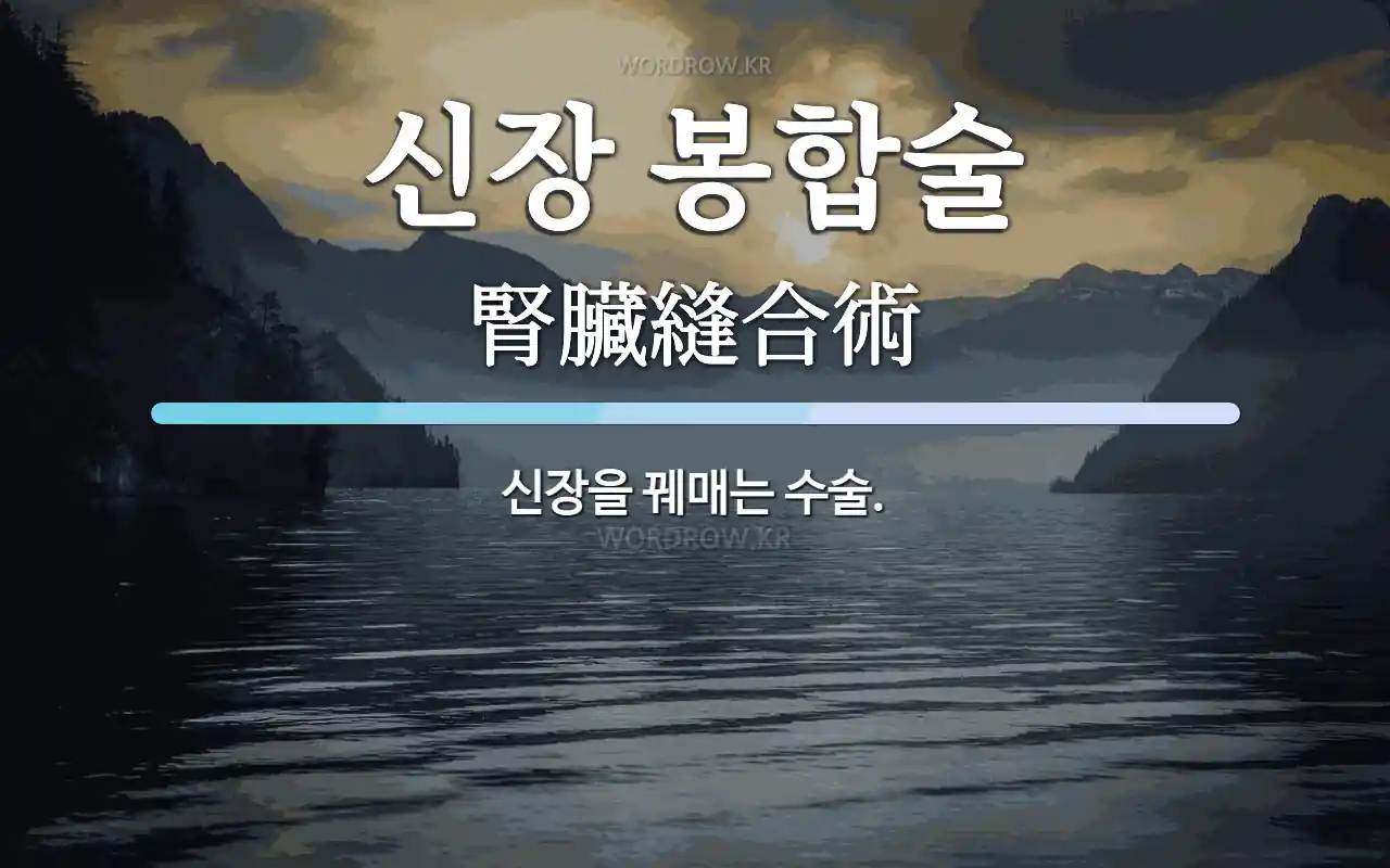 신장 봉합술 뜻 신장을 꿰매는 수술