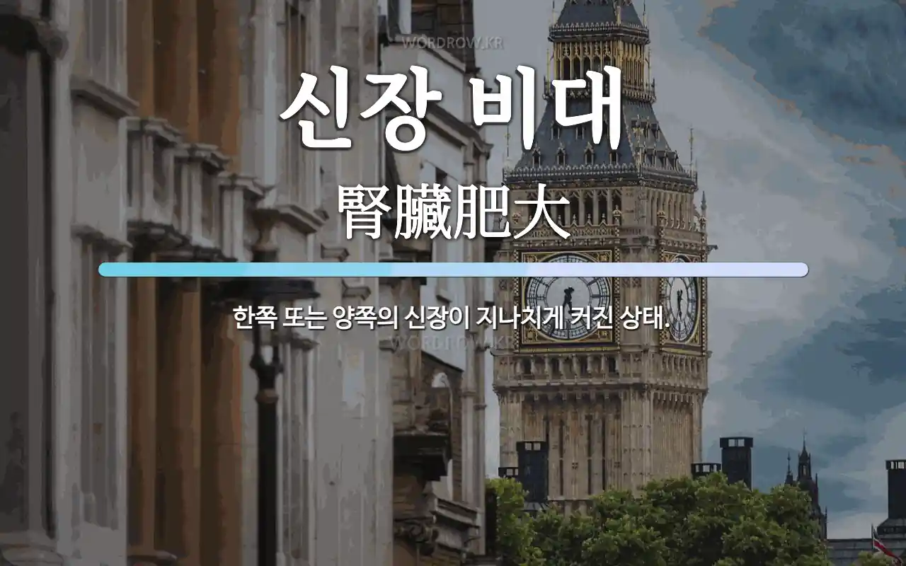 신장 비대 뜻 한쪽 또는 양쪽의 신장이 지나치게 커진 상태