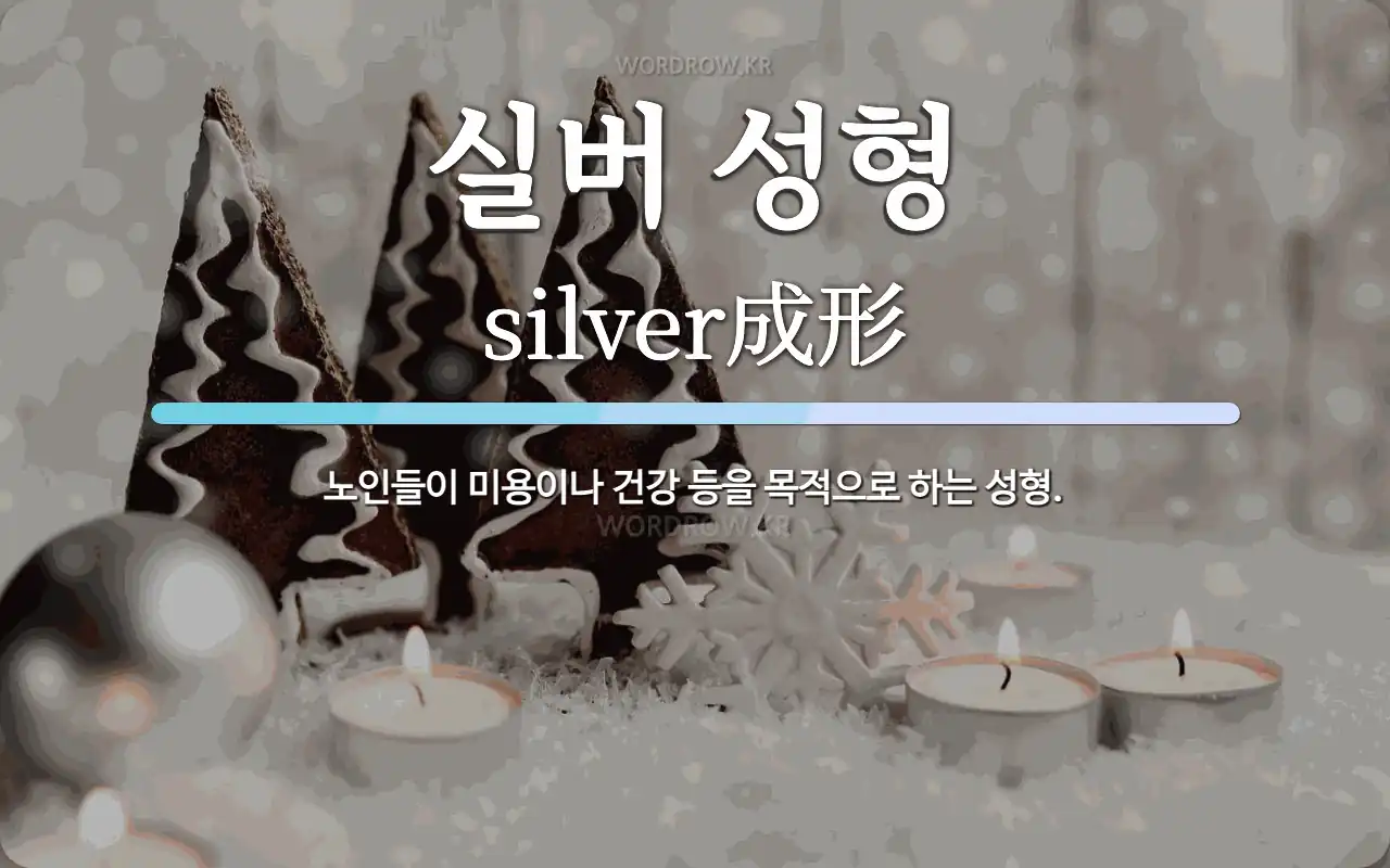 실버 성형 뜻 노인들이 미용이나 건강 등을 목적으로 하는 성형