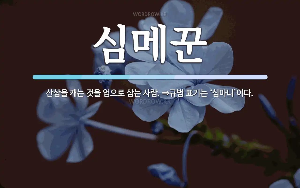 심메꾼 뜻 산삼을 캐는 것을 업으로 삼는 사람 ⇒규범 표기는 ‘심마니이다