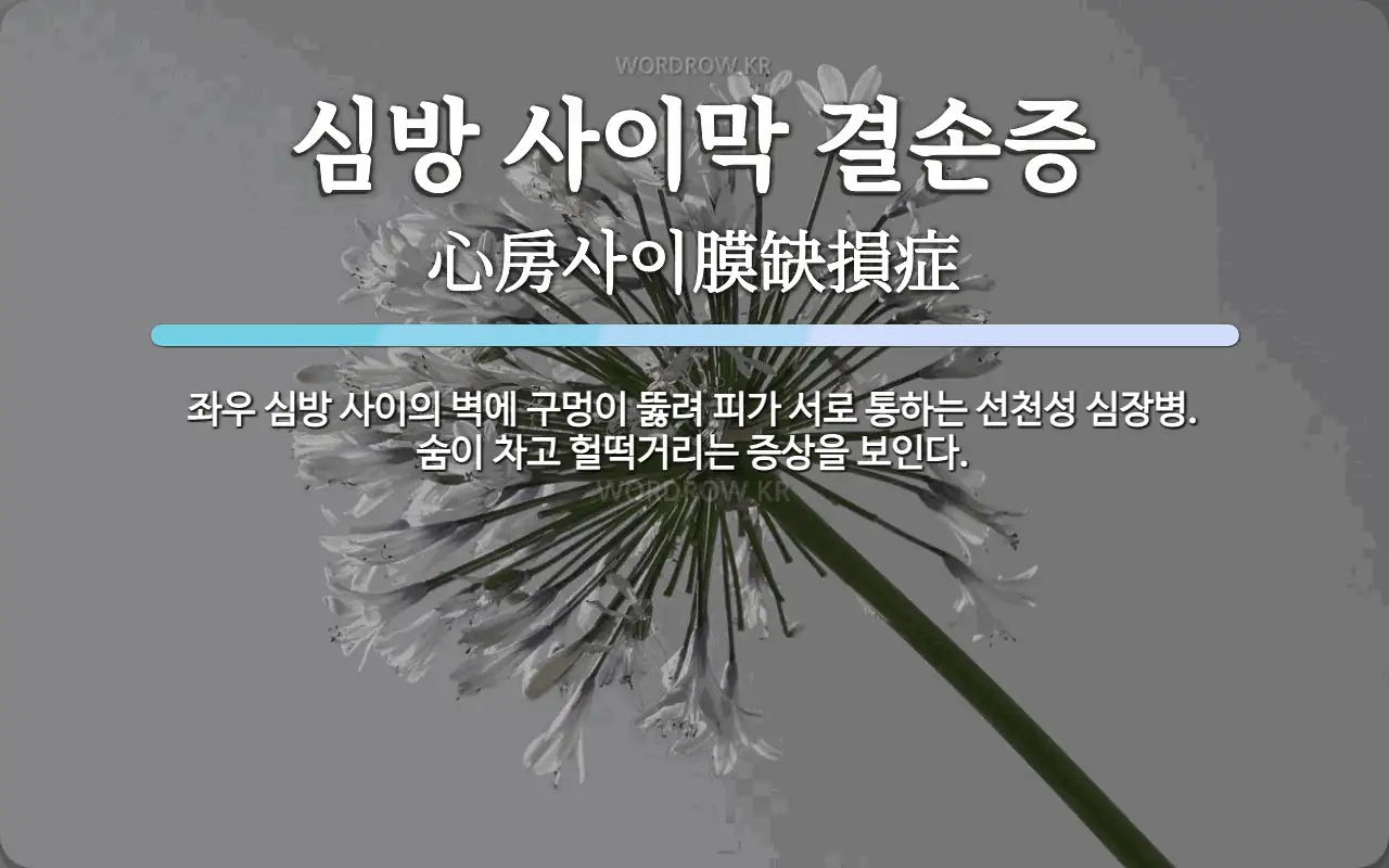 심방 사이막 결손증 뜻 좌우 심방 사이의 벽에 구멍이 뚫려 피가 서로 통하는 선천성 심장병 숨이 차고 헐떡거리는