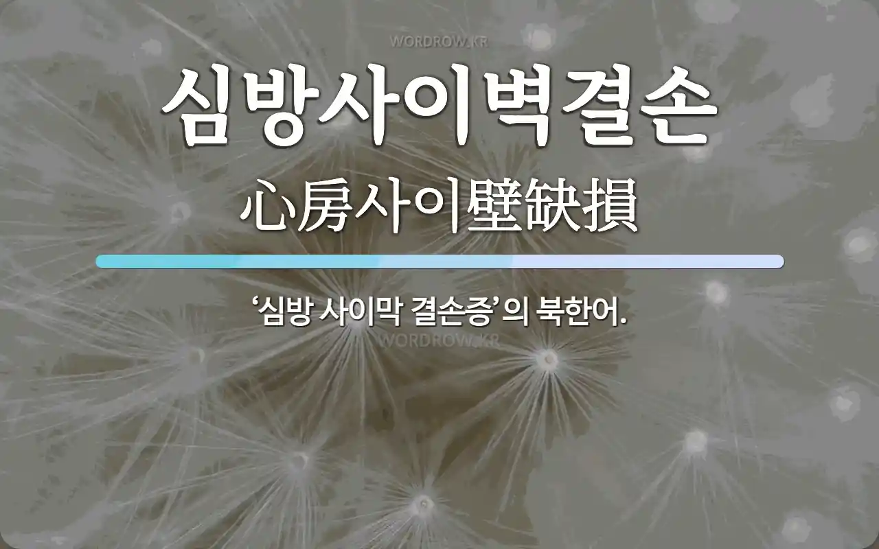 심방사이벽결손 뜻 ‘심방 사이막 결손증의 북한어