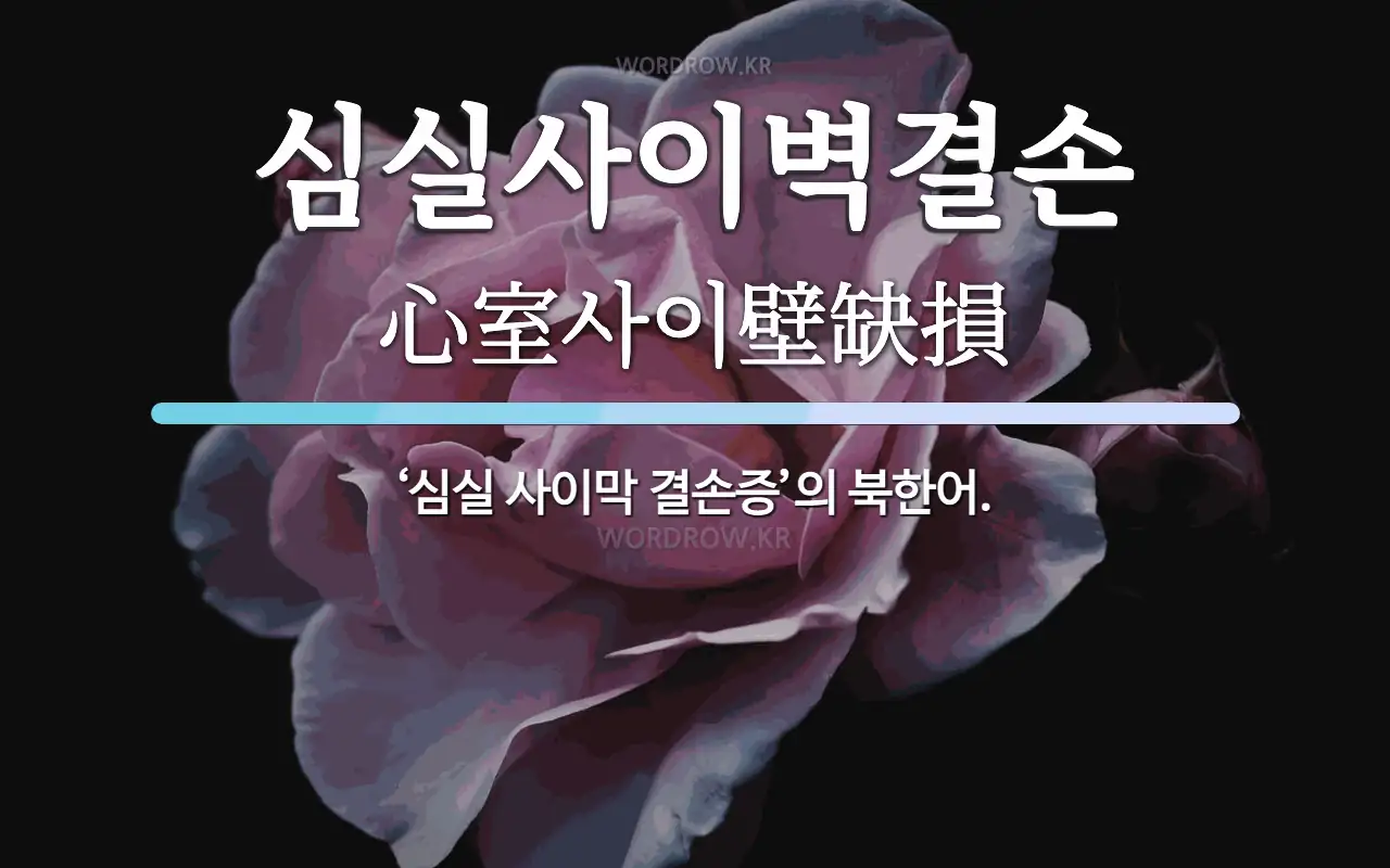 심실사이벽결손 뜻 ‘심실 사이막 결손증의 북한어