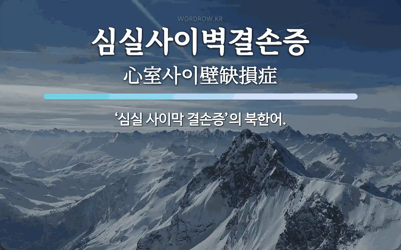 심실사이벽결손증 뜻 ‘심실 사이막 결손증의 북한어