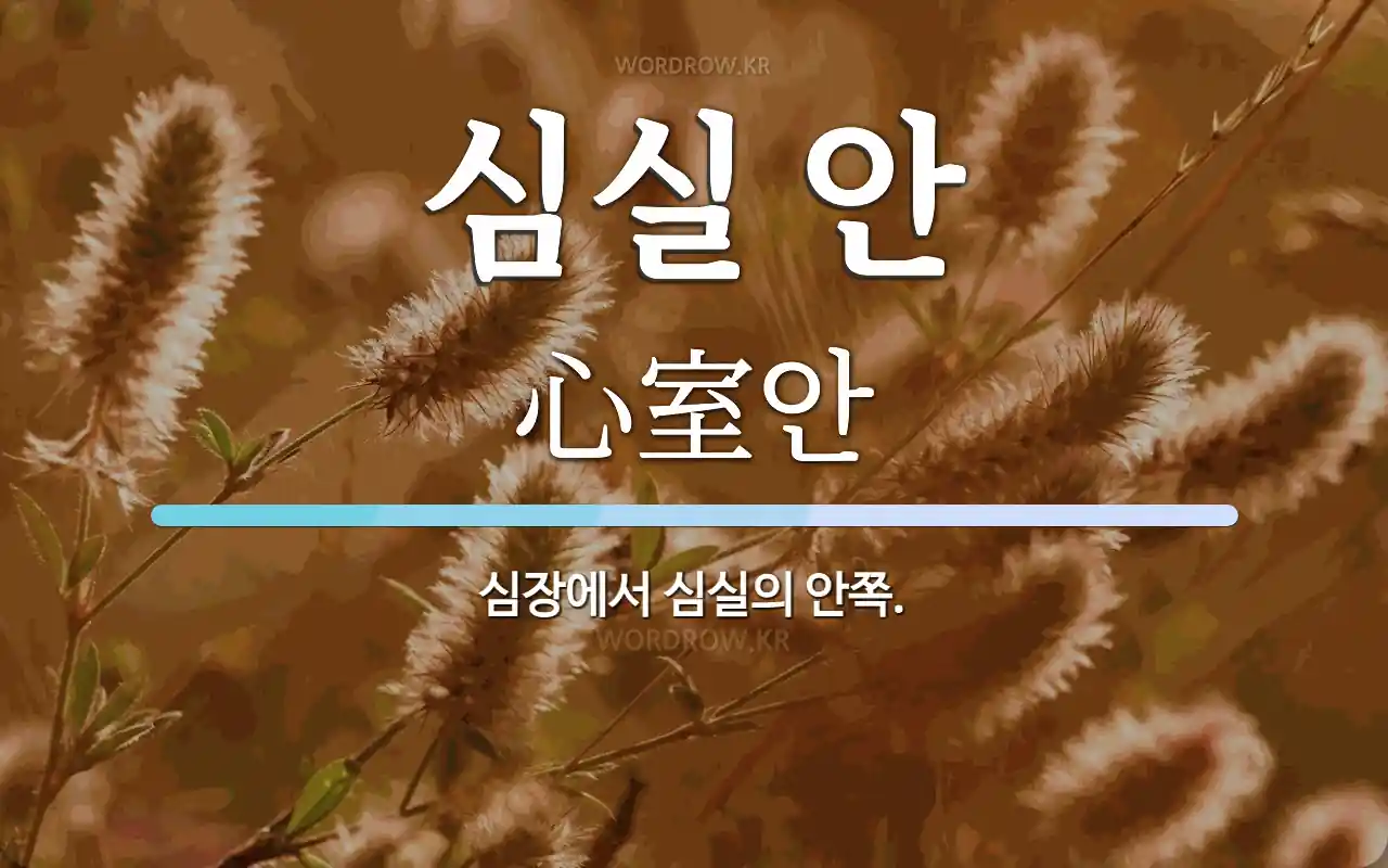 심실 안 뜻 심장에서 심실의 안쪽