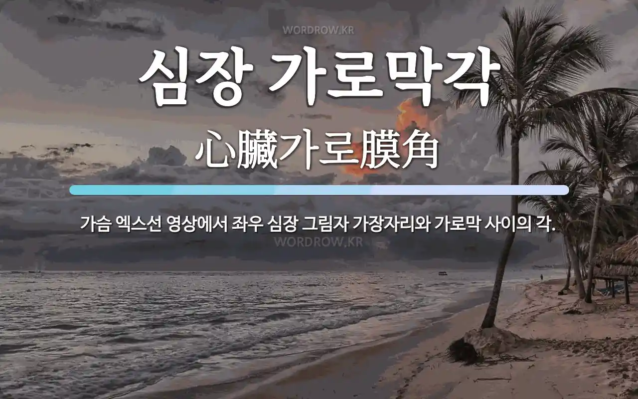 심장 가로막각 뜻 가슴 엑스선 영상에서 좌우 심장 그림자 가장자리와 가로막 사이의 각