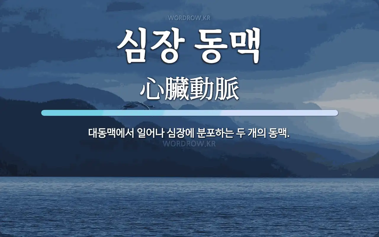 심장 동맥 뜻 대동맥에서 일어나 심장에 분포하는 두 개의 동맥