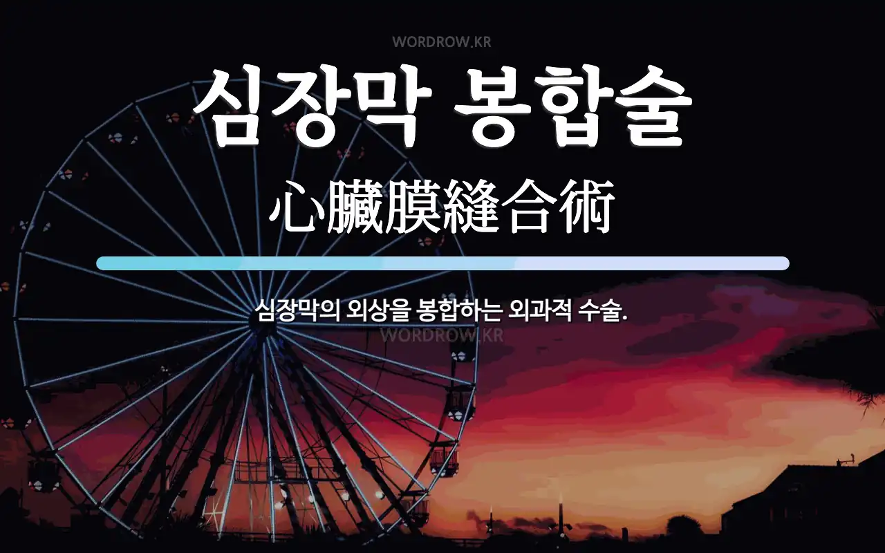 심장막 봉합술 뜻 심장막의 외상을 봉합하는 외과적 수술
