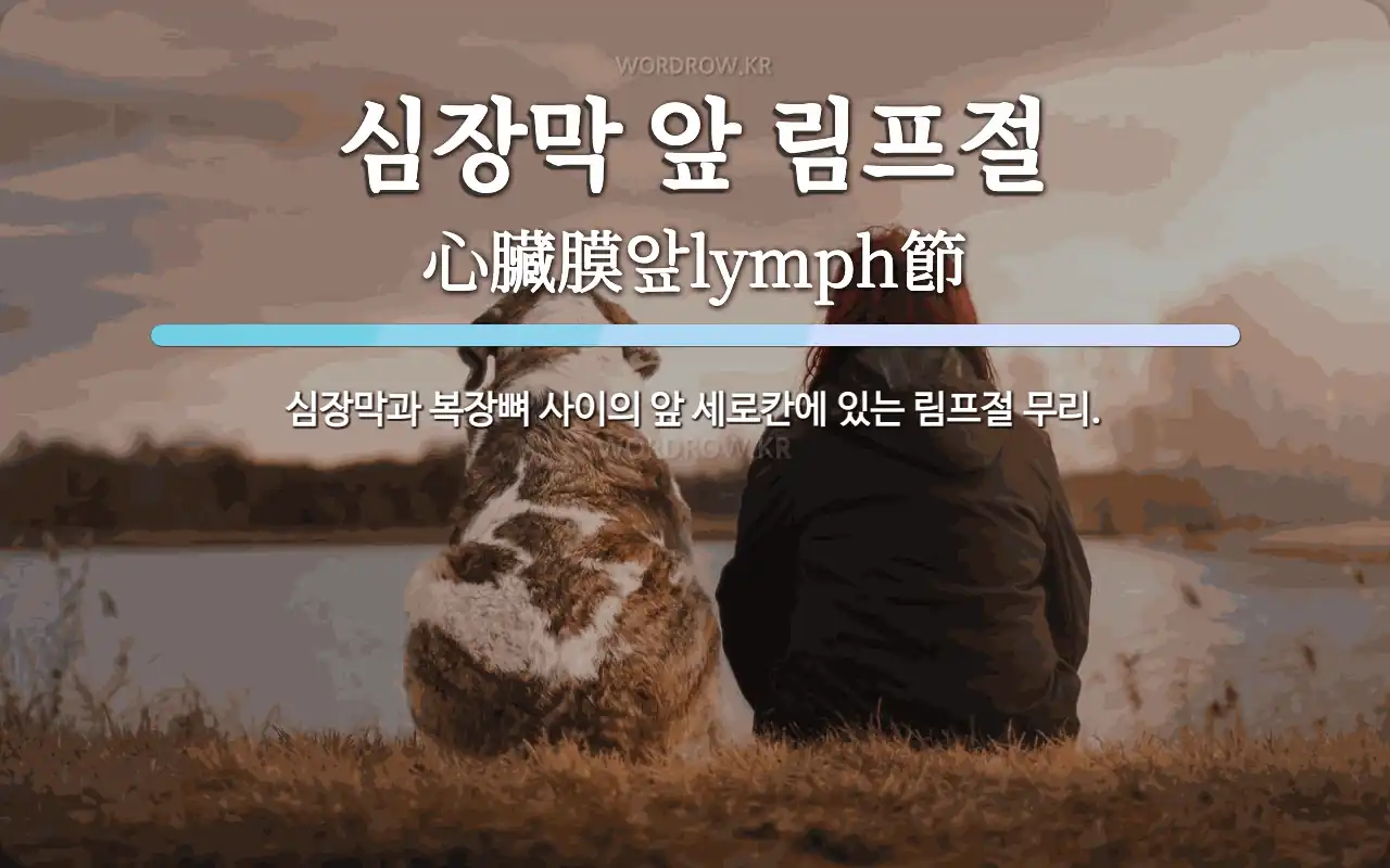 심장막 앞 림프절 뜻 심장막과 복장뼈 사이의 앞 세로칸에 있는 림프절 무리