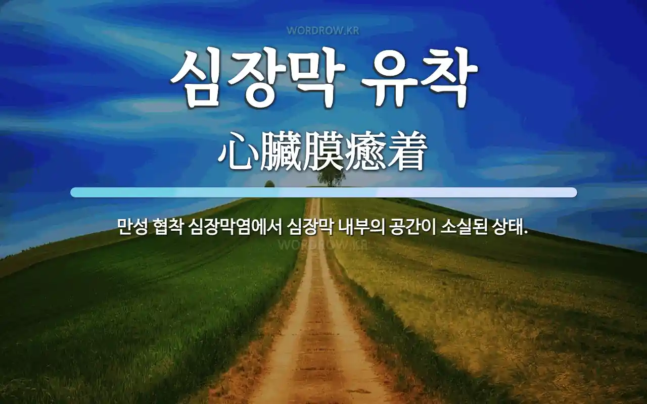 심장막 유착 뜻 만성 협착 심장막염에서 심장막 내부의 공간이 소실된 상태
