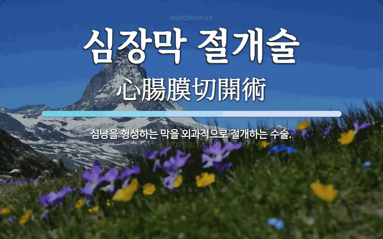 심장막 절개술 뜻 심낭을 형성하는 막을 외과적으로 절개하는 수술