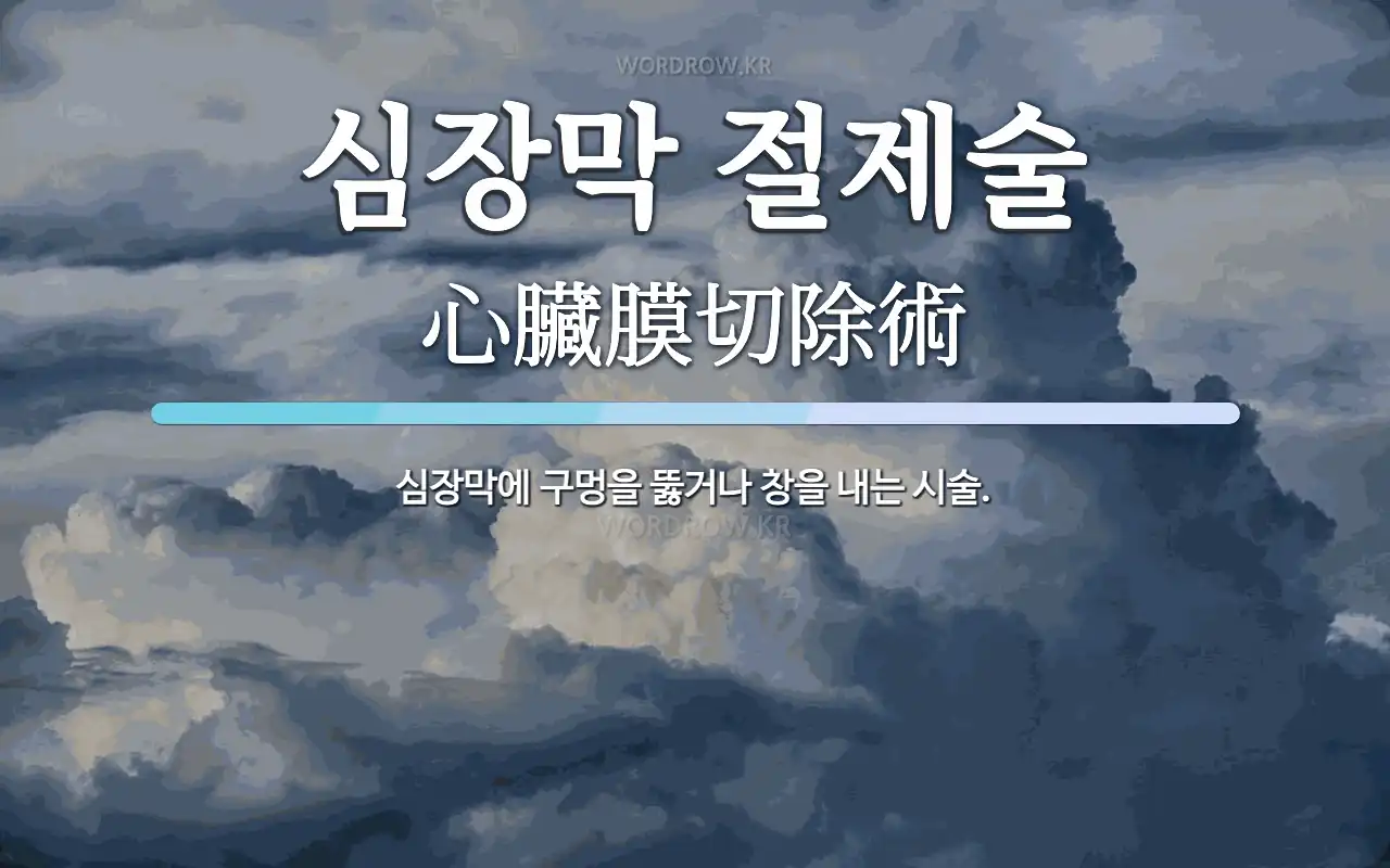 심장막 절제술 뜻 심장막에 구멍을 뚫거나 창을 내는 시술