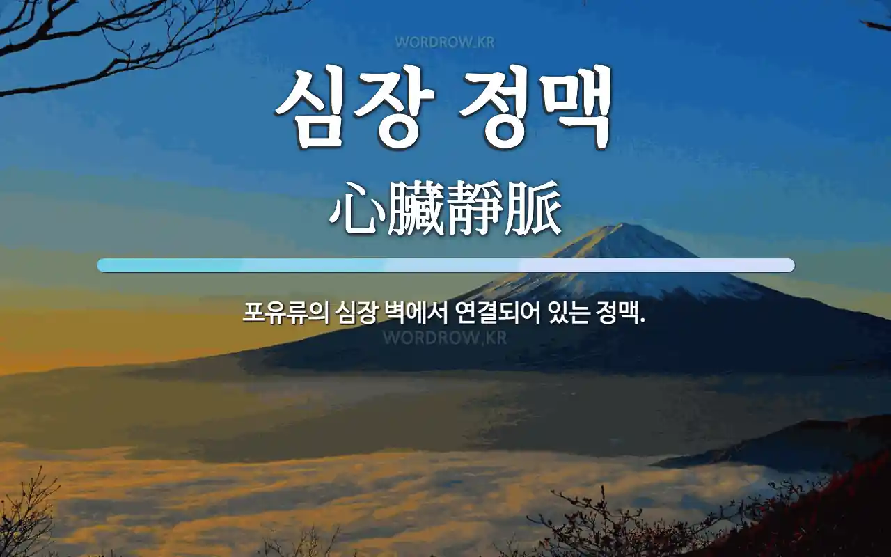 심장 정맥 뜻 포유류의 심장 벽에서 연결되어 있는 정맥