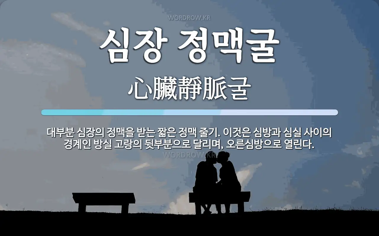 심장 정맥굴 뜻 대부분 심장의 정맥을 받는 짧은 정맥 줄기 이것은 심방과 심실 사이의 경계인 방실 고랑의