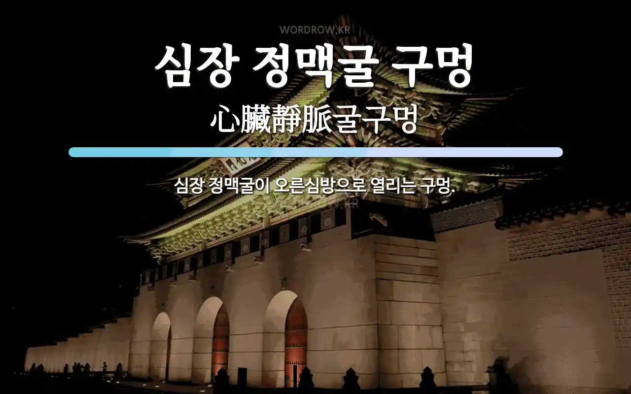 심장 정맥굴 구멍 뜻 심장 정맥굴이 오른심방으로 열리는 구멍