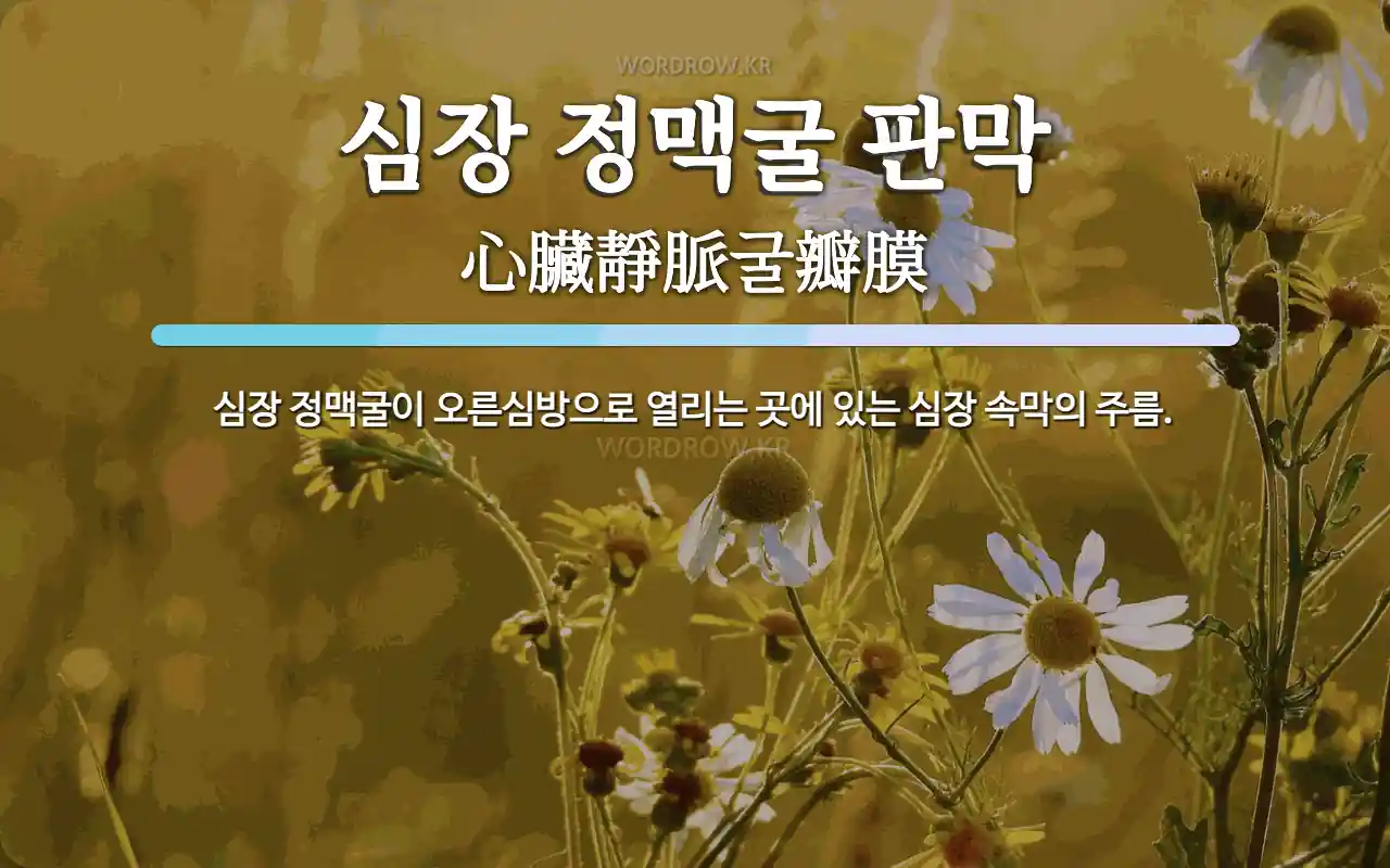 심장 정맥굴 판막 뜻 심장 정맥굴이 오른심방으로 열리는 곳에 있는 심장 속막의 주름