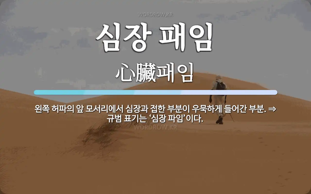심장 패임 뜻 왼쪽 허파의 앞 모서리에서 심장과 접한 부분이 우묵하게 들어간 부분 ⇒규범 표기는 ‘심장