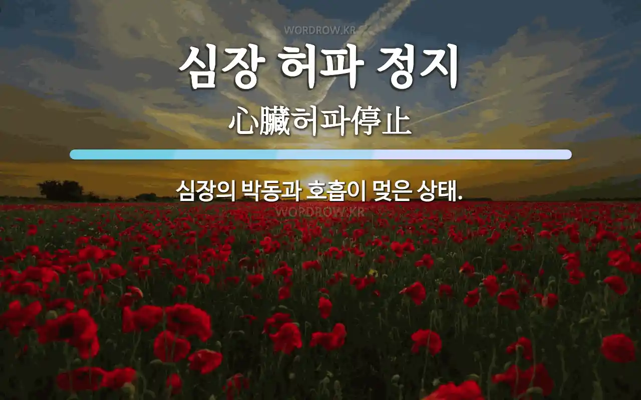 심장 허파 정지 뜻 심장의 박동과 호흡이 멎은 상태