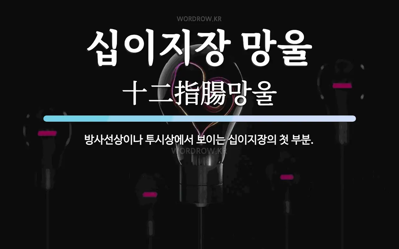 십이지장 망울 뜻 방사선상이나 투시상에서 보이는 십이지장의 첫 부분