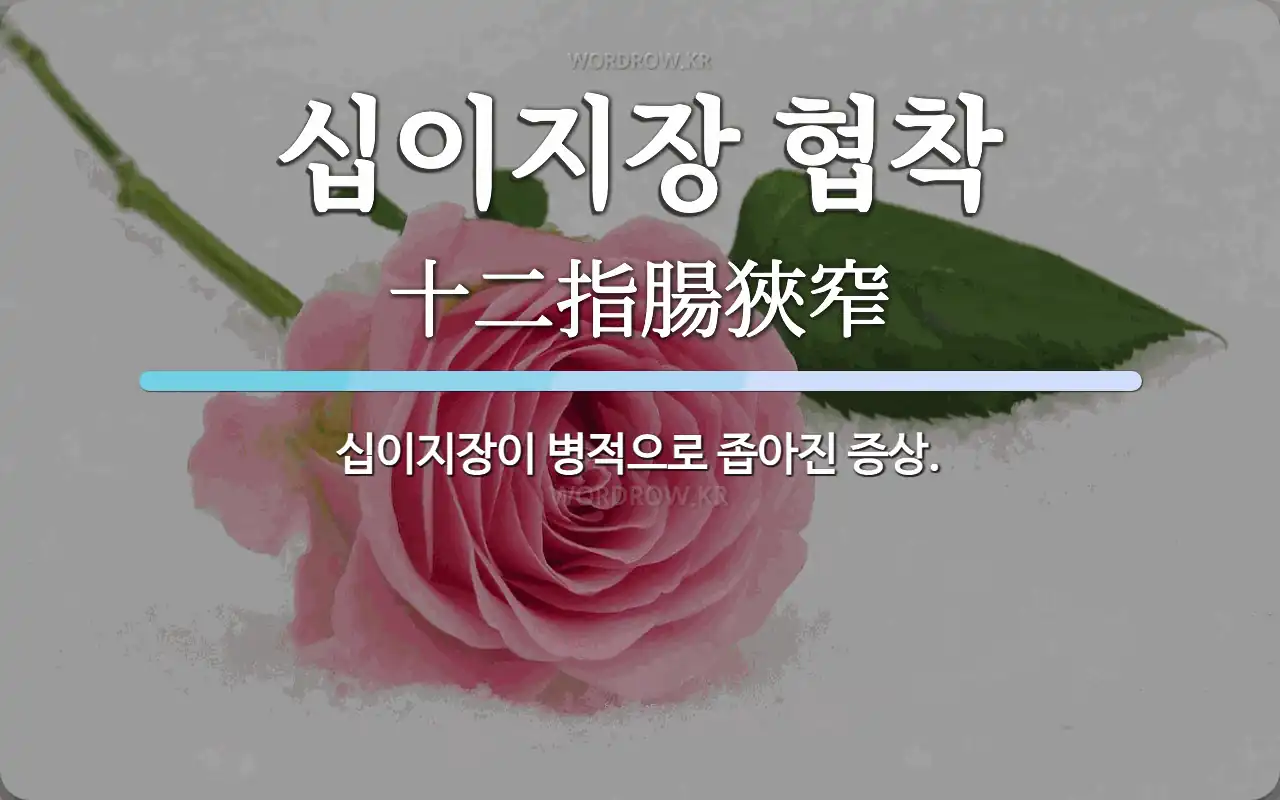십이지장 협착 뜻 십이지장이 병적으로 좁아진 증상