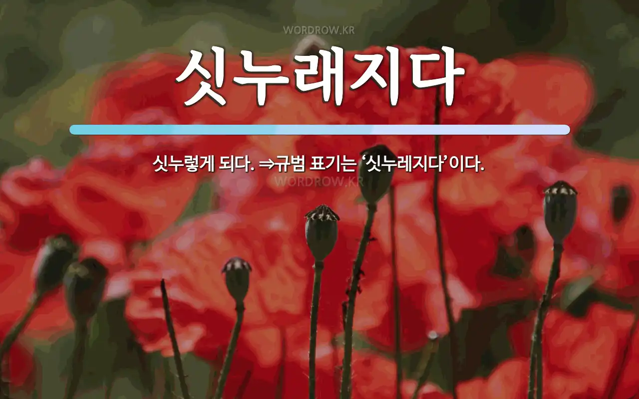 싯누래지다 뜻 싯누렇게 되다 ⇒규범 표기는 ‘싯누레지다이다