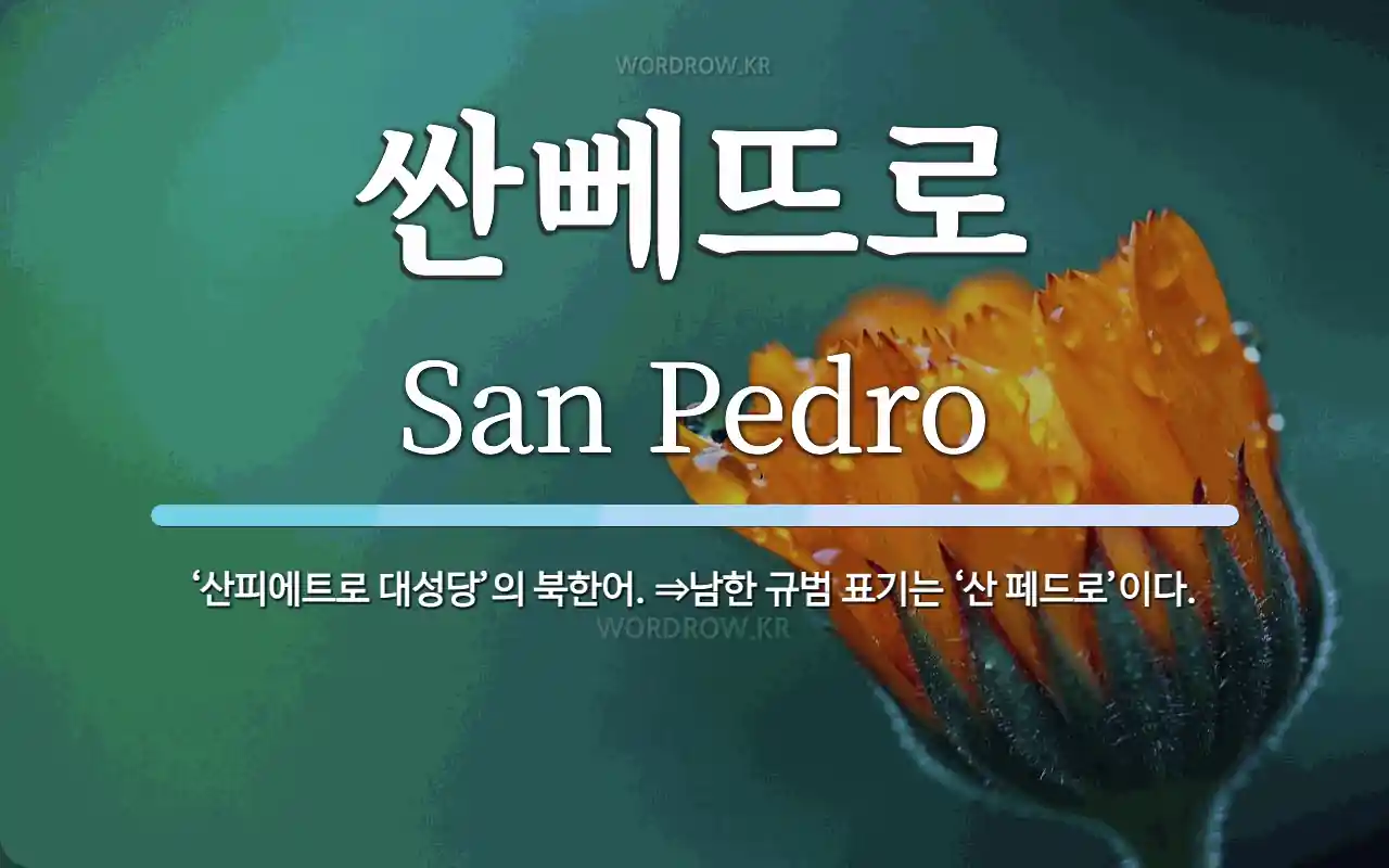 싼뻬뜨로 뜻 ‘산피에트로 대성당의 북한어 ⇒남한 규범 표기는 ‘산 페드로이다