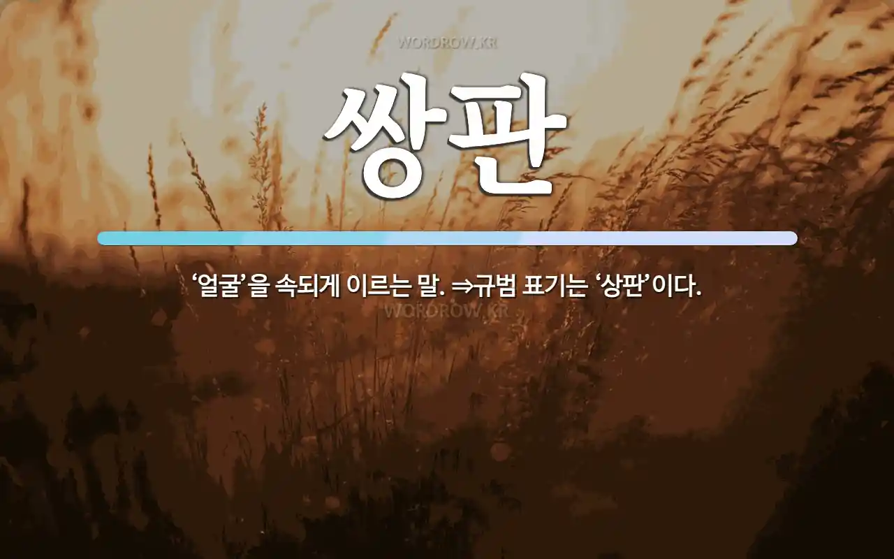 쌍판 뜻 ‘얼굴을 속되게 이르는 말 ⇒규범 표기는 ‘상판이다