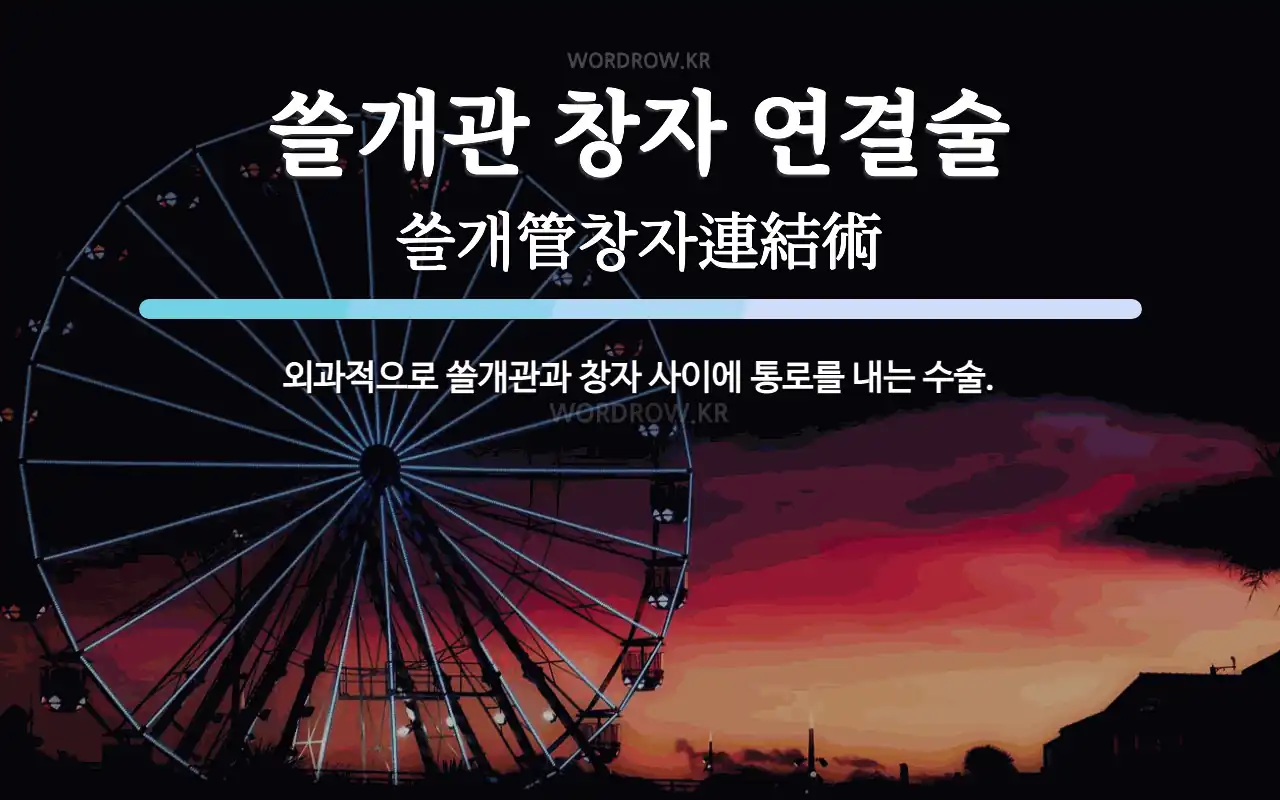 쓸개관 창자 연결술 뜻 외과적으로 쓸개관과 창자 사이에 통로를 내는 수술