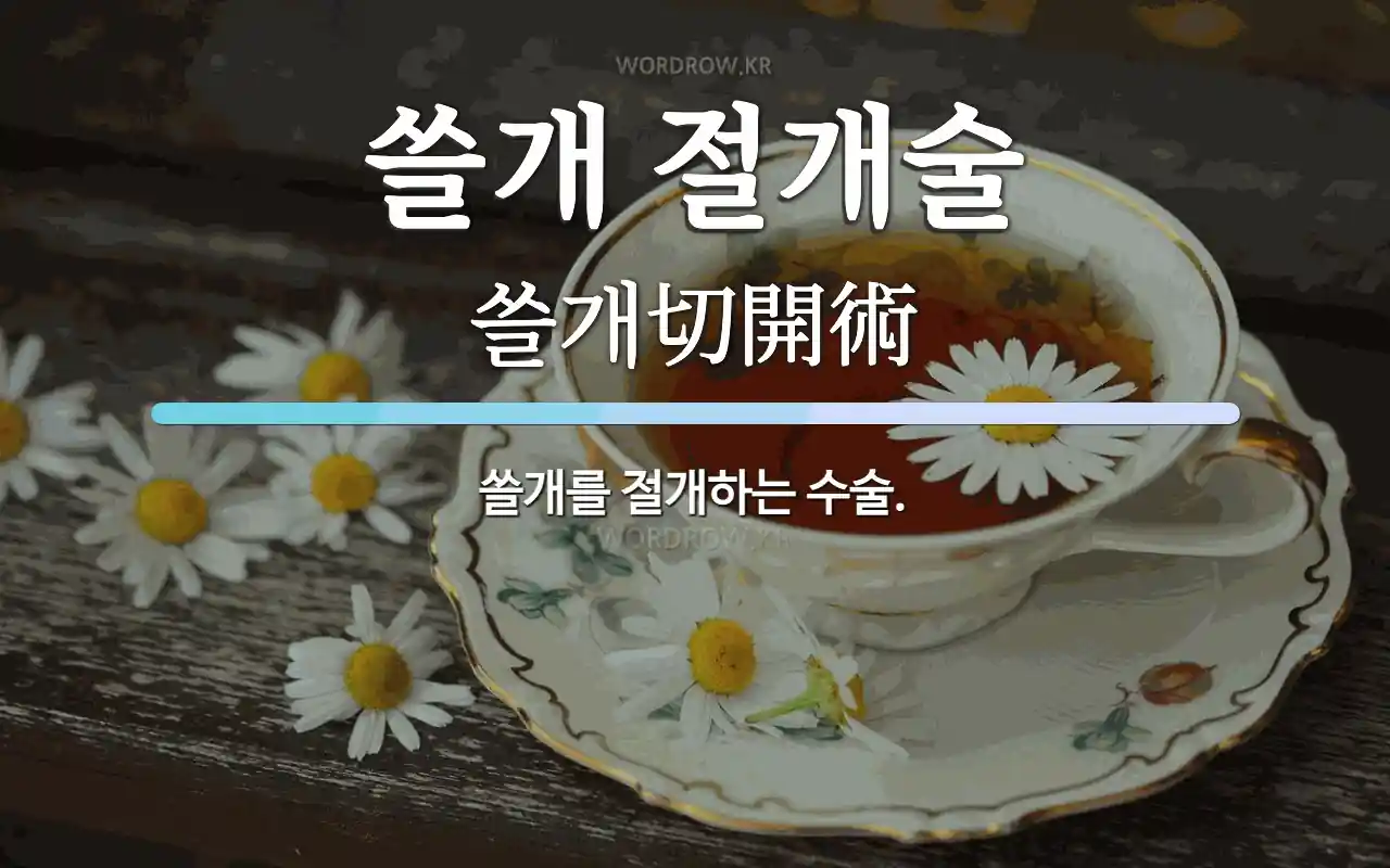 쓸개 절개술 뜻 쓸개를 절개하는 수술