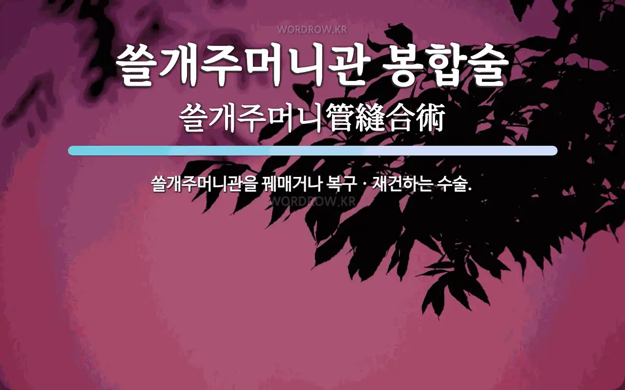 쓸개주머니관 봉합술 뜻 쓸개주머니관을 꿰매거나 복구ㆍ재건하는 수술
