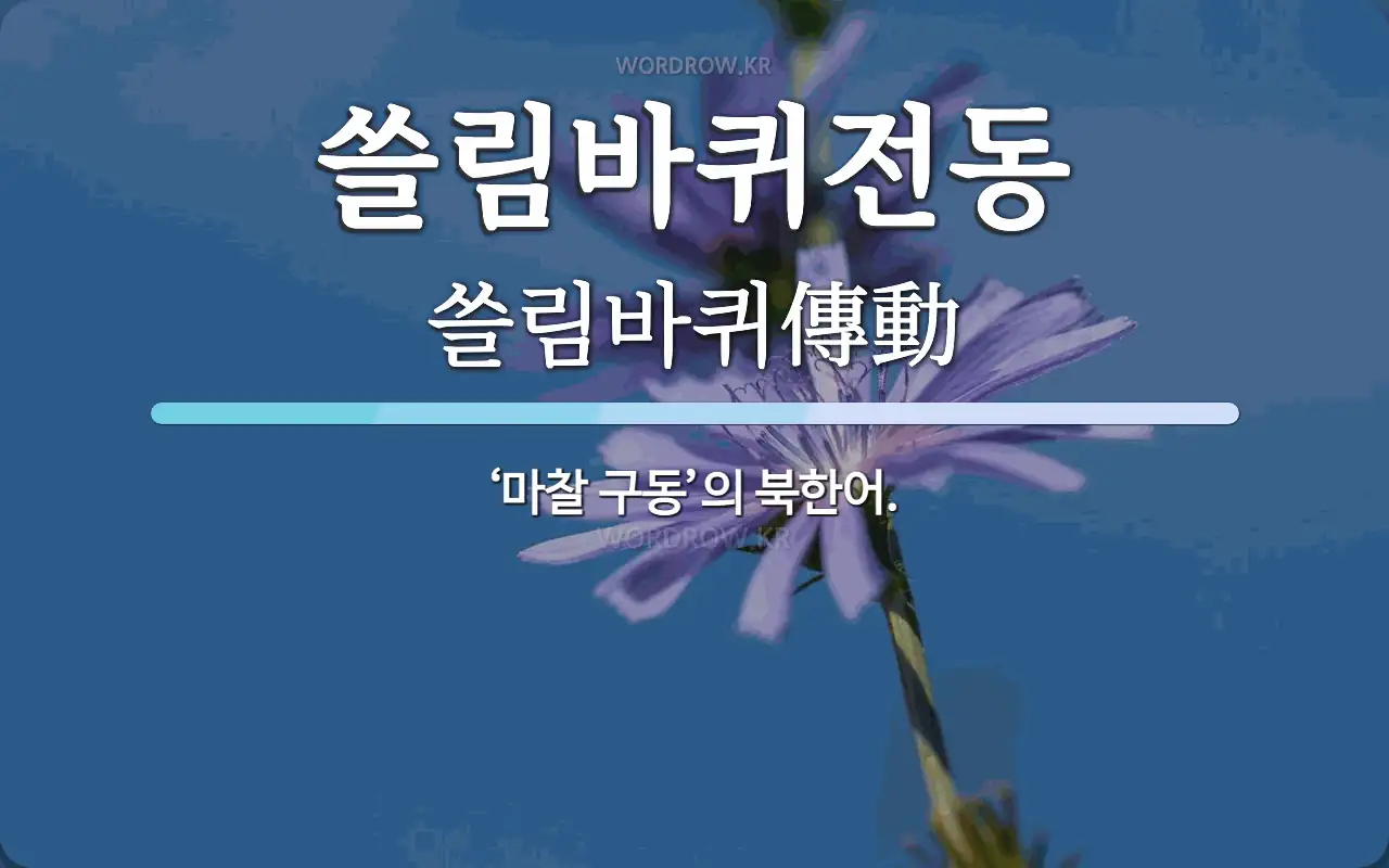 쓸림바퀴전동 뜻 ‘마찰 구동의 북한어