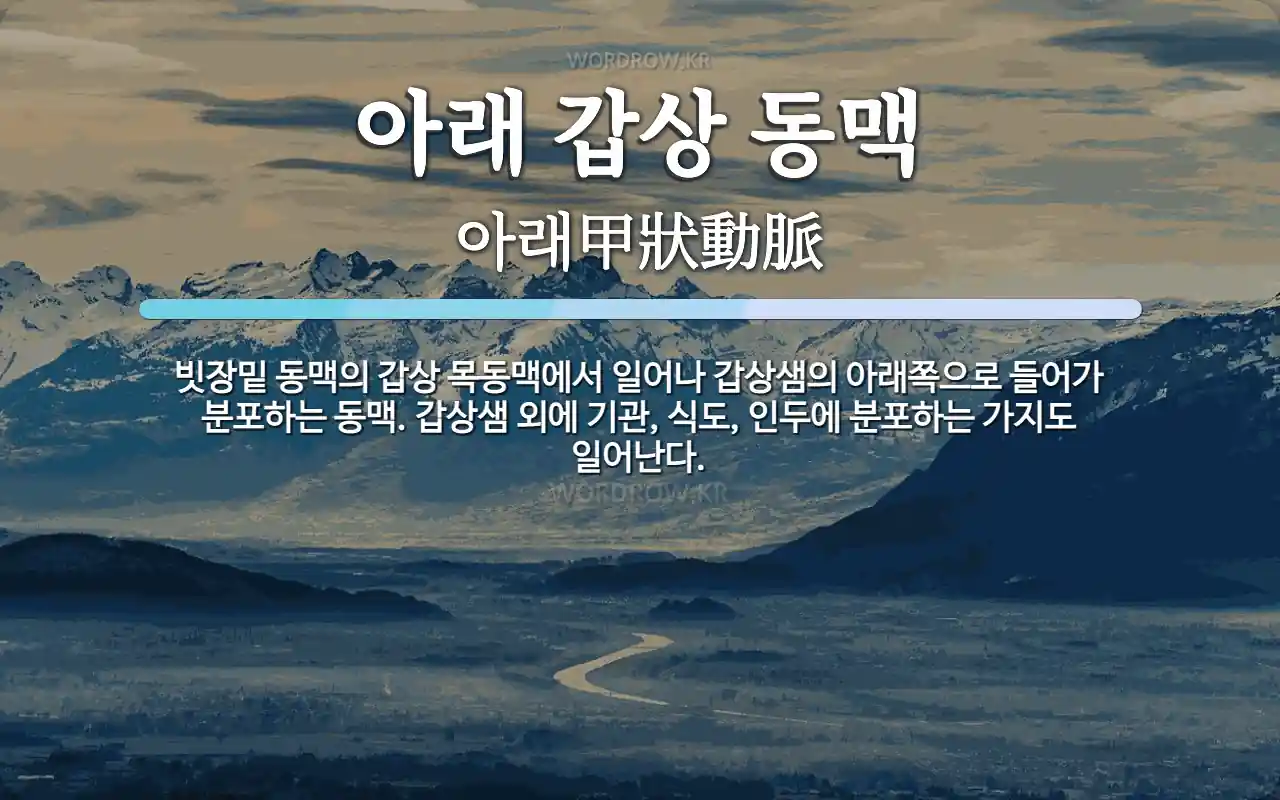 아래 갑상 동맥 뜻 빗장밑 동맥의 갑상 목동맥에서 일어나 갑상샘의 아래쪽으로 들어가 분포하는 동맥 갑상샘 외
