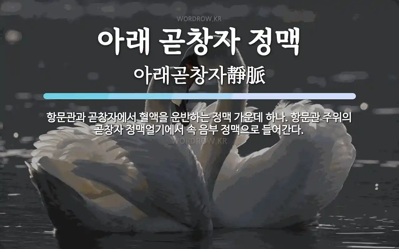 아래 곧창자 정맥 뜻 항문관과 곧창자에서 혈액을 운반하는 정맥 가운데 하나 항문관 주위의 곧창자 정맥얼기에서