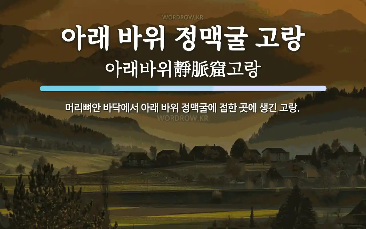 아래 바위 정맥굴 고랑 뜻 머리뼈안 바닥에서 아래 바위 정맥굴에 접한 곳에 생긴 고랑